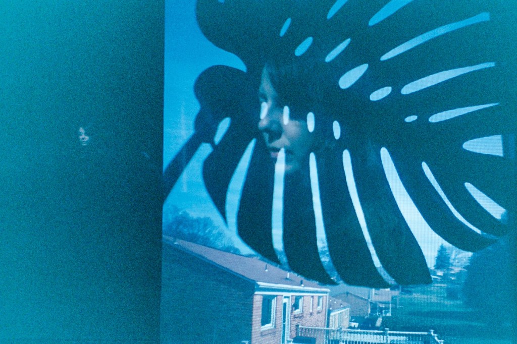 Amanda's journey of loss, grief, pregnancy, birth - and rebirth