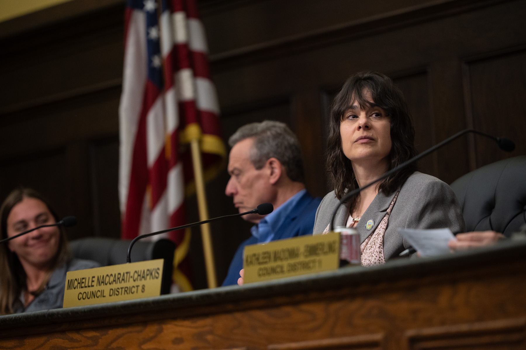 Environmental advocate new Allegheny County Council president
